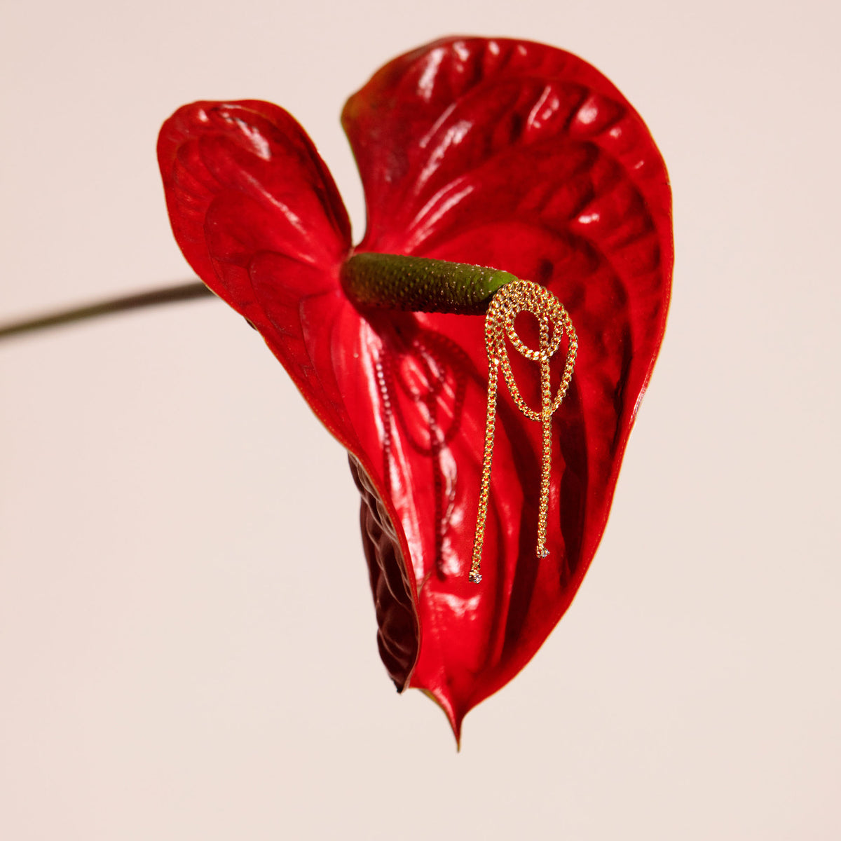 Unchain my art loop earrings – DELFINA DELETTREZ