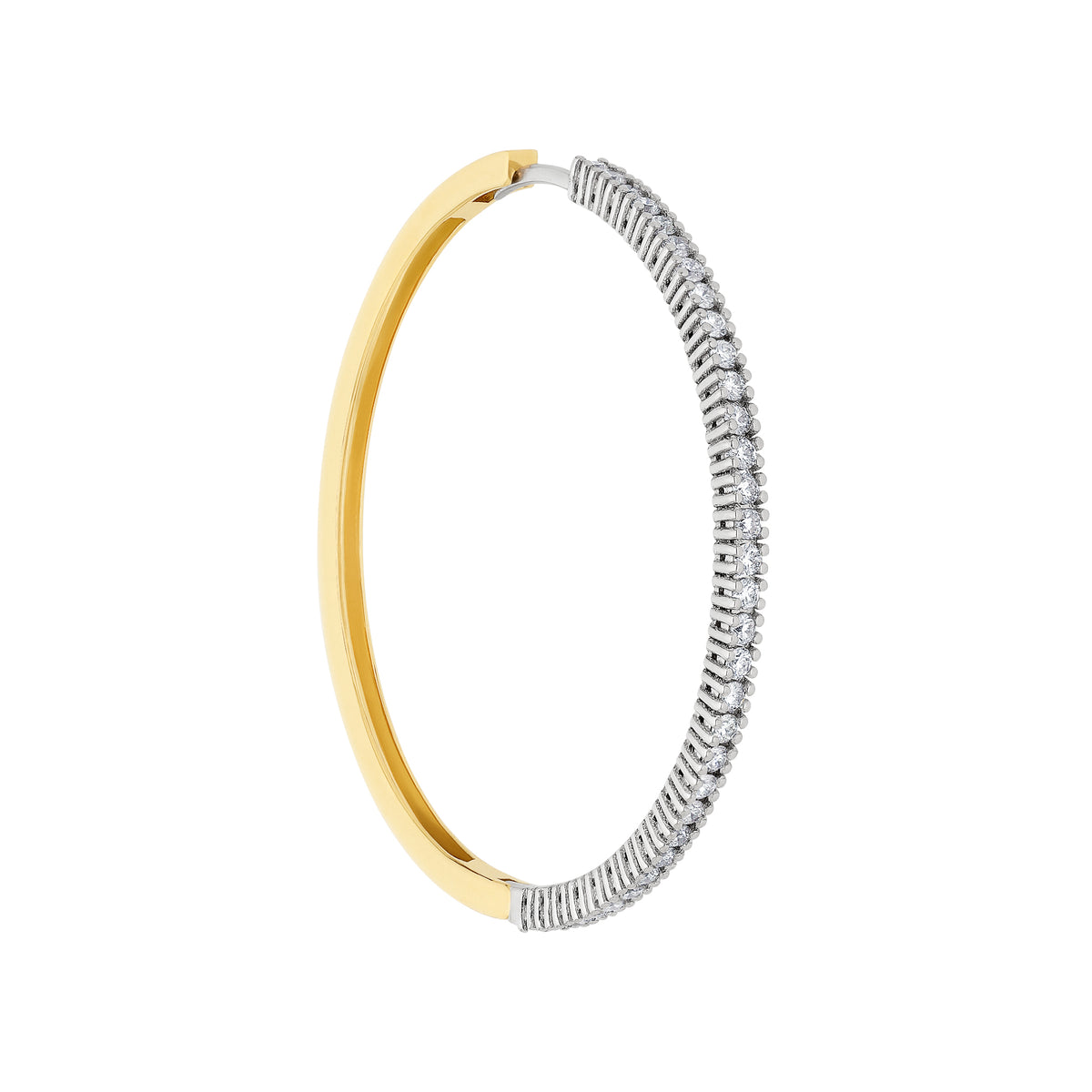 Hoop earrings – DELFINA DELETTREZ